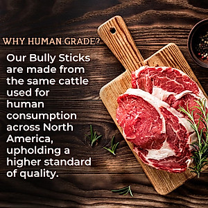 Bully Bunches Premium 12 Inch Thick Odor-Free Bully Sticks for Medium & Large Dogs - Long Lasting Chews for Oral Care - All Natural & Single Ingredient, 100% Beef Dog Treat, Rawhide Free (10 Pk)