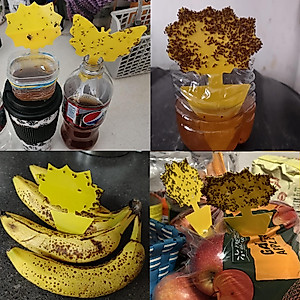 Fruit Fly Gnat Traps for House Indoor, 48 Pack Yellow Sticky Traps for Gnat Indoor Outdoor Plants and Kitchen, Fungus Gnat Killer for Houseplant, Mosquitos and Flying Insect…