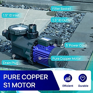 AQUASTRONG 8000GPH 2 HP In or Above Ground Pool Pump with Single Speed