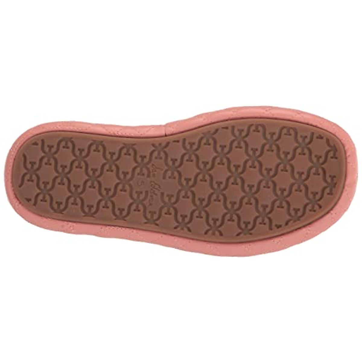 Sam Edelman Women's Karinda Sport Sandal, Canyon Clay, 8