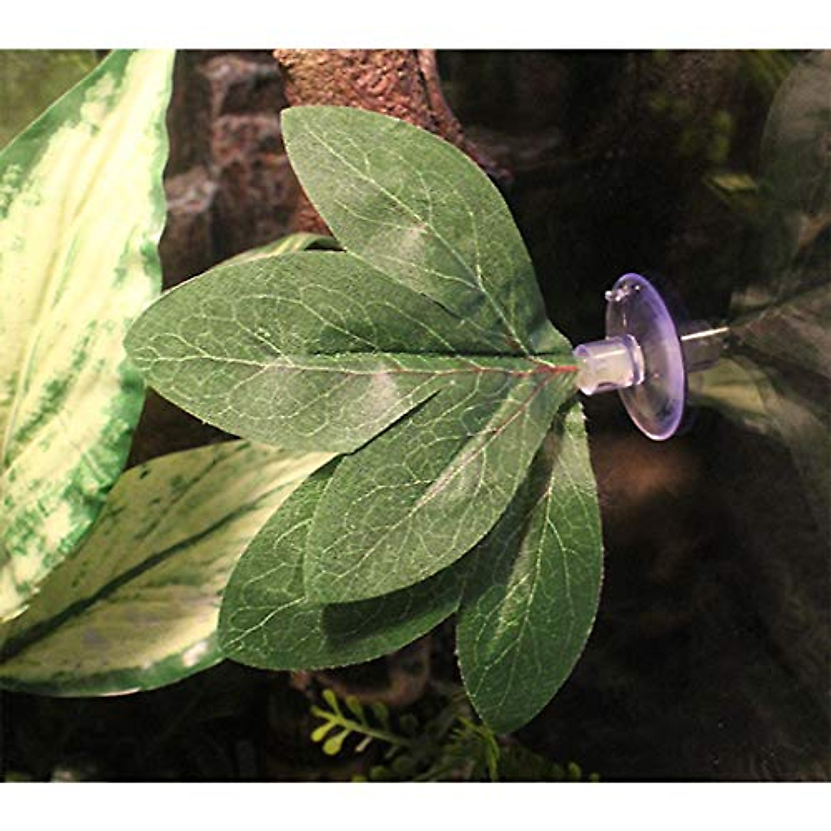 Mllepjdh Betta Fish Hammock Plastics Betta Leaf Pad Aquarium Plant Leaves Accessories for Playing Fish Tanks Hideout Decoration Pet Rainbow Ball Foam Pets Dog Training Training Ball Dog Treat