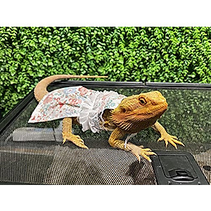 Lizard Dress for Bearded Dragon - Handmade Cotton Tutu Skirt with Lace Princess Sundress Halloween Costume Photo Cosplay Party for Reptile Lizard Bearded Dragon Crested Gecko Chameleon (M, Pink)