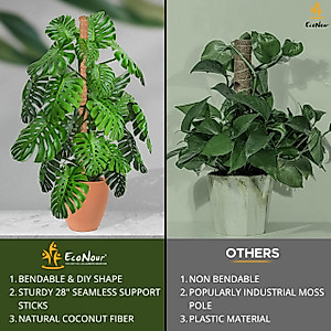 EcoNour Moss Pole for Plants - 28 Inches (2 Pack) | Monstera Plant Support for Vertical Growth | Indoor Climbing Plant Support for Potted Plants Like Pothos, Philodendrons, and More