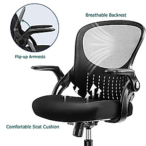 Home Office Desk Chair, Ergonomic Mesh Computer Chair, Task Swivel Rolling Chair with Lumbar Support and Flip-up Arms for Office, Study, Bedroom