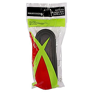 Maxpower 334319 Briggs and Stratton 394019 Air Filter