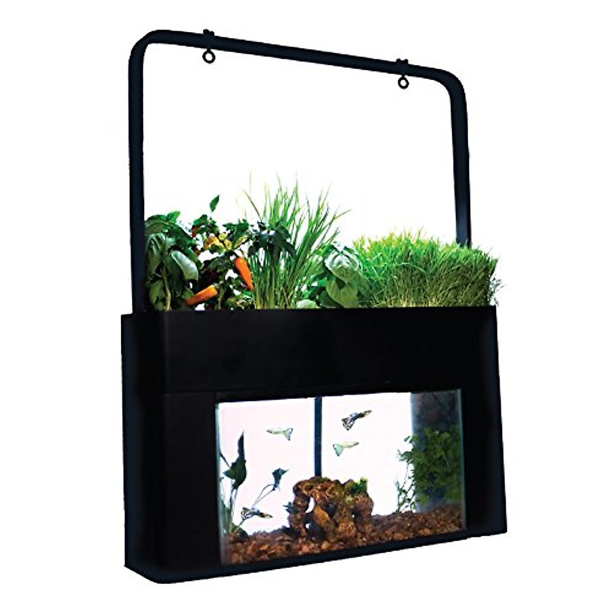 AquaSprouts Garden, Self-Sustaining Desktop Aquarium Aquaponics Ecosystem Kit, fits Standard 10 Gallon Aquariums