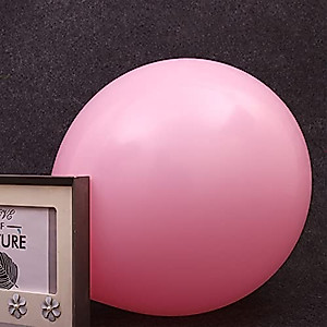 10 inch Pastel Pink Party Balloons, 100 pcs Macaron Pink Latex Balloons Light Pink Birthday Balloons (Pastel Pink)