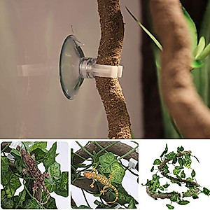 kathson Lizard Coco Den with Ladder, Bearded Dragon Tank Accessories Gecko Coconut Husk Hut with Jungle Climber Vines with Suction Cups Habitat Décor