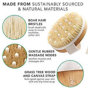 Dry Brushing Body Brush for Lymphatic Drainage & Cellulite - Round Dry Brush for Body Natural Bristle Body Brush for Showering - Skin Brush for Dry Brushing Bath and Exfoliating