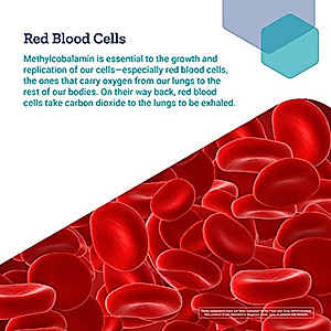 Life Extension Vitamin B12 Methylcobalamin 500mcg - Vitamin B12 Supplement For General Energy and Brain Health - Sugar Free Vegetarian Lozenges Dissolve in Your Mouth - Once Daily - 100 Count