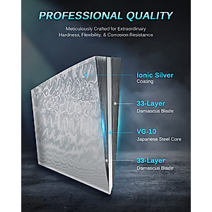 KYOKU Kiritsuke Chef Knife - Gin Series - 8.5" Multipurpose Professional Chef Knife, Japanese VG10 Damascus Stainless Steel Kitchen Knife with Silver Ion Blade G10 Handle Mosaic Pin