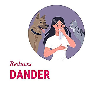 DogFresh Soothing, Cleansing, Dander Removing Spray for Dogs and Cats with Problem Skin