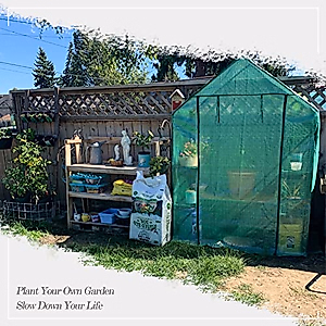 KOKSRY Mini Greenhouse,Greenhouses for Outdoors,Portable Walk in Green House for Garden Plants That Need Frost Protection and Away from Pests, Animals(56"x30"x76")-Green