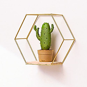 Rendeyuan Hexagonal Iron Stand Small Pot Wall Shelving Holder Home Shelf Storage Holder Decorative Shelves Floating Shelves - Gold - 24x9.5x20.5cm