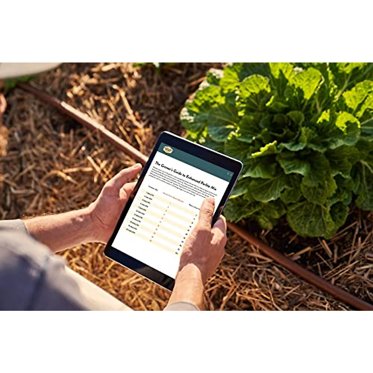 Harvest Hero Enhanced Perlite Soil Mix with Diatomaceous Earth & Essential Nutrients – Promotes Robust & Vigorous Growth for Indoor & Outdoor Plants, Transplanting, Garden Beds & Seedlings (16 QT)