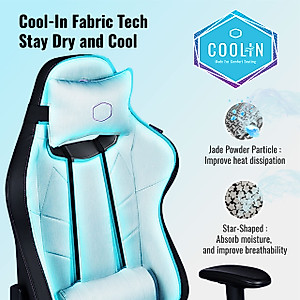 Cooler Master Caliber R1S Gaming Chair for Computer Game, Office and Racing Style Gamer, Comfy Ergonomic Reclining High Back Desk Chairs with Arms & Seat Adjustment Lumbar Support - Rose Gray