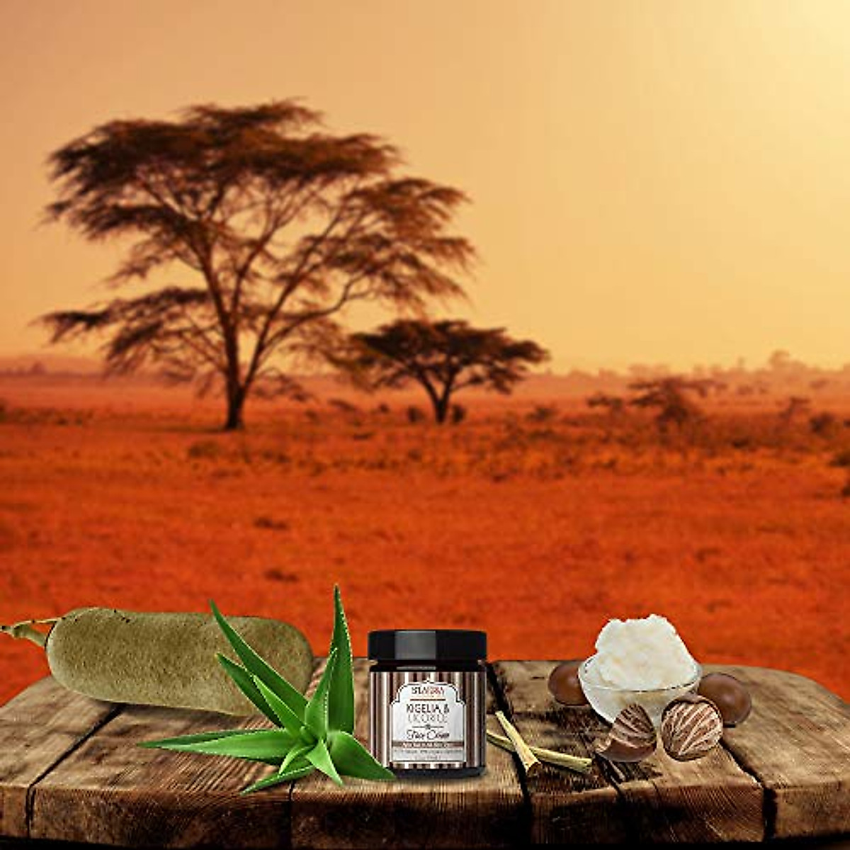 Shea Terra Kigelia Age Defense Collection - After-sun Face Crème | Natural, Anti-Aging Face Cream with Licorice Root, Shea Butter & Aloe for Sun Damage and Clear, Even Skin Tone – 4oz