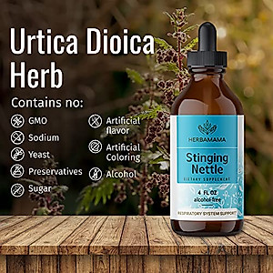 HERBAMAMA Stinging Nettle Root Tincture - Organic Stinging Nettle Root Liquid Extract - Urtica Dioica Herbal Drops Supplement - 4 fl oz