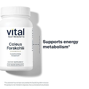 Vital Nutrients - Coleus Forskohlii 10% - Cardiovascular Support - Muscle Relaxation - 60 Vegetarian Capsules per Bottle - 90 mg