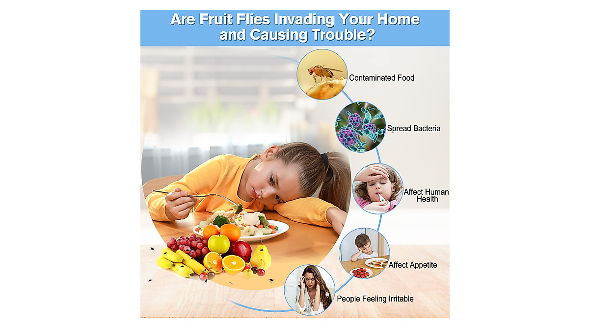 Fruit Fly Trap for Indoors,Effective Fruit Fly Killer Catcher Gnat Trap ...