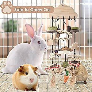 Bissap Rabbit Chew Toy, Bunny Cage Hanging Chew Toys and Treats Wooden with Snacks for Guinea Pigs Chinchillas Hamsters Rats and Other Small Pets Teeth Grinding