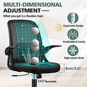Winrise Office Chair Ergonomic Desk Chairs with Lumbar Support and Flip-up Arms, Comfortable Breathable Mesh Computer Executive Chair with Swivel Task, Adjustable Height 4'', Home - Black