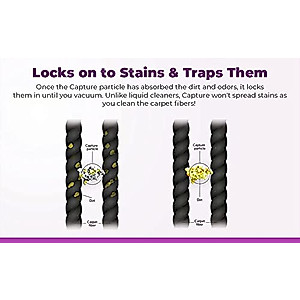 Capture Pre-Mist Soil Release for Carpet Dry Cleaner - Carpet Cleaning Pre Spray - Loosen Juice, Coffee & Wine Spill and Tough Rug Stains Eliminator - Multi-Purpose Cleaning Essentials (24oz)