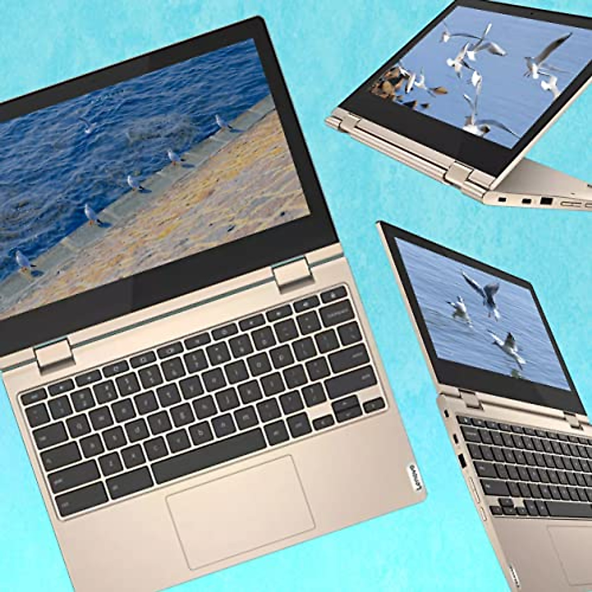 Lenovo Chromebook Flex 3 11.6" HD (1366 x 768) TouchScreen 2-in-1 Laptop, Intel Celeron N4020, 4GB DDR4, 64GB eMMC, Webcam, WiFi, Bluetooth, MicroSD Card Reader, Chrome Os, GCube 64GB Micro SD Card