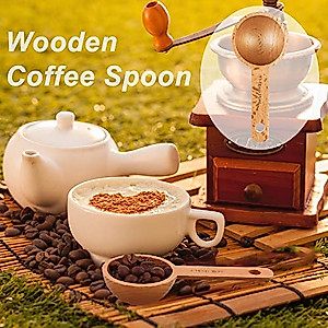 6 Pieces Wooden Coffee Spoon in Beech Coffee Scoop Measuring Scoop for Coffee Beans Wood Table Spoon for Whole Beans Ground Beans or Tea, Home Kitchen Accessories, 10 ml