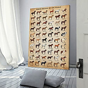Horse Knowledge Horse Breeds of The World Poster Framed 12x16inch