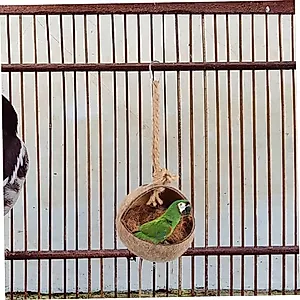 balacoo Coconut Shell nest Parrot Hammock Hamster Hammock Suspending Bird Hammock Bird House Parrot Supply Bird Coco Swing Parrot Sleeping Hammock Bird Sleeping Nest The Bird's nest Bed