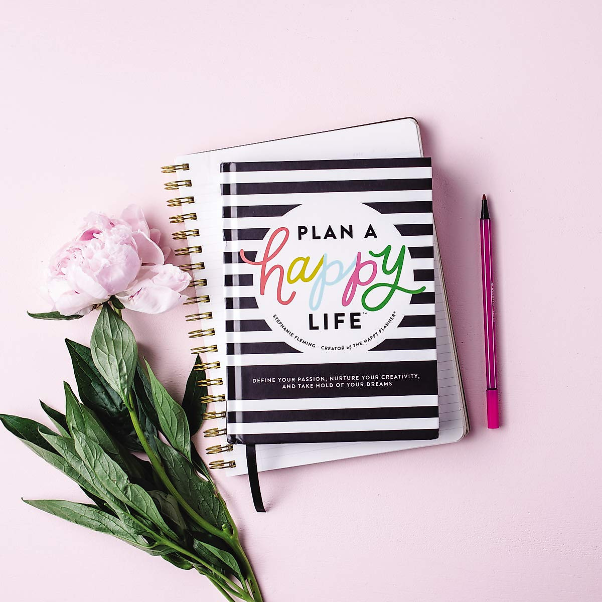 Plan a Happy Life™: Define Your Passion, Nurture Your Creativity, and Take Hold of Your Dreams
