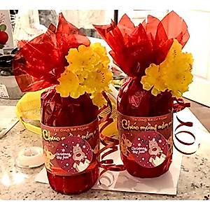 2 Rolls Red & Green Cellophane Wrap Roll- (17 in. Wide x 100ft. Long x 2.3 Mil Thick) - Cellophane Roll for Christmas Gift Basket Wrap - Plastic Wrap for Decorations, Treats, Christmas Tree W