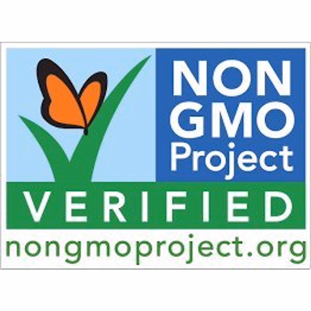 Soft White Wheat Berries 4 Pounds Kernels, USDA Certified Organic, Non-GMO Bulk, Product of USA, Mulberry Lane Farms