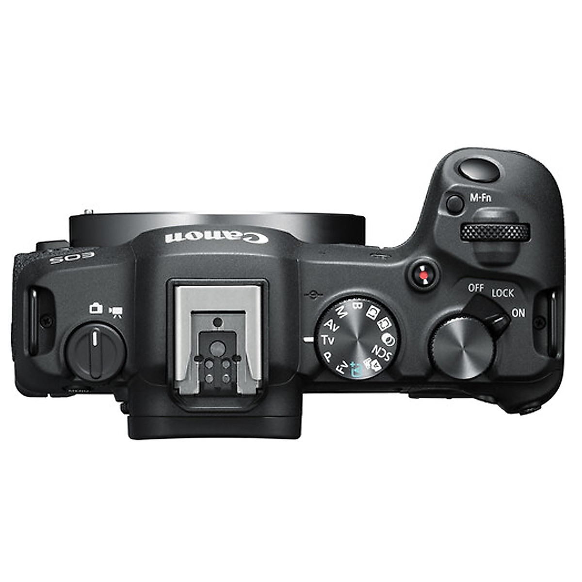 Canon EOS R8 Mirrorless Camera Body + 128GB Pro Speed Memory + EF-RF Lens Adapter + Led Video Light + DME 100 Microphone +Case + Tripod + Software Pack-Video Bundle (Renewed)