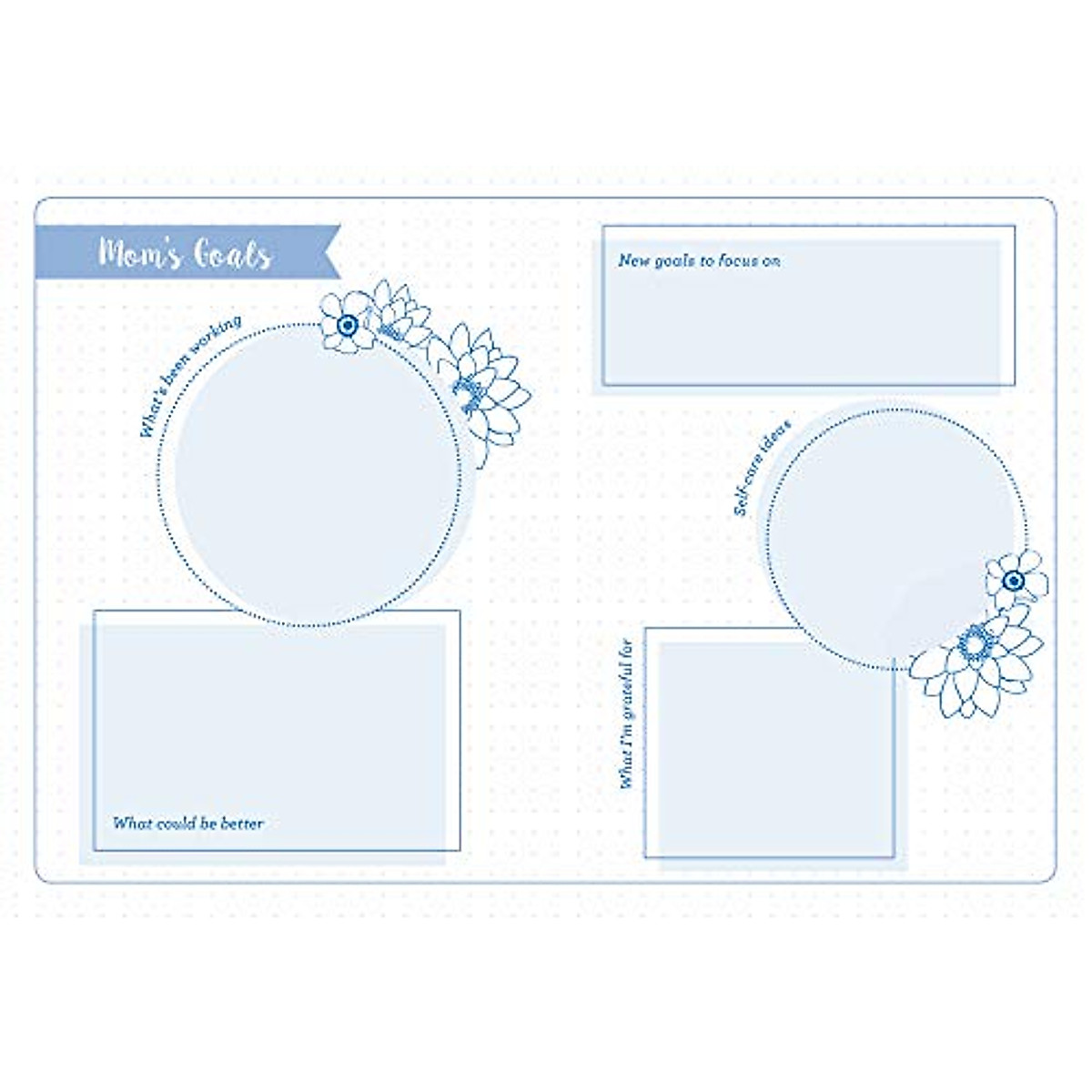 2021 Amy Knapp's Christian Family Organizer: 17-Month Weekly Faith & Inspiration Planner for Mom (Includes Stickers, Thru December 2021)