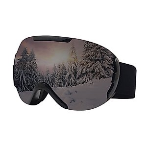 Feilx Ski Goggles, Motorcycle Goggles with HD Protective Lenses & Adjustable Elastic Band, Outdoor Windproof Dustproof for Men Women (Color : Black, Size : 10 * 19CM)