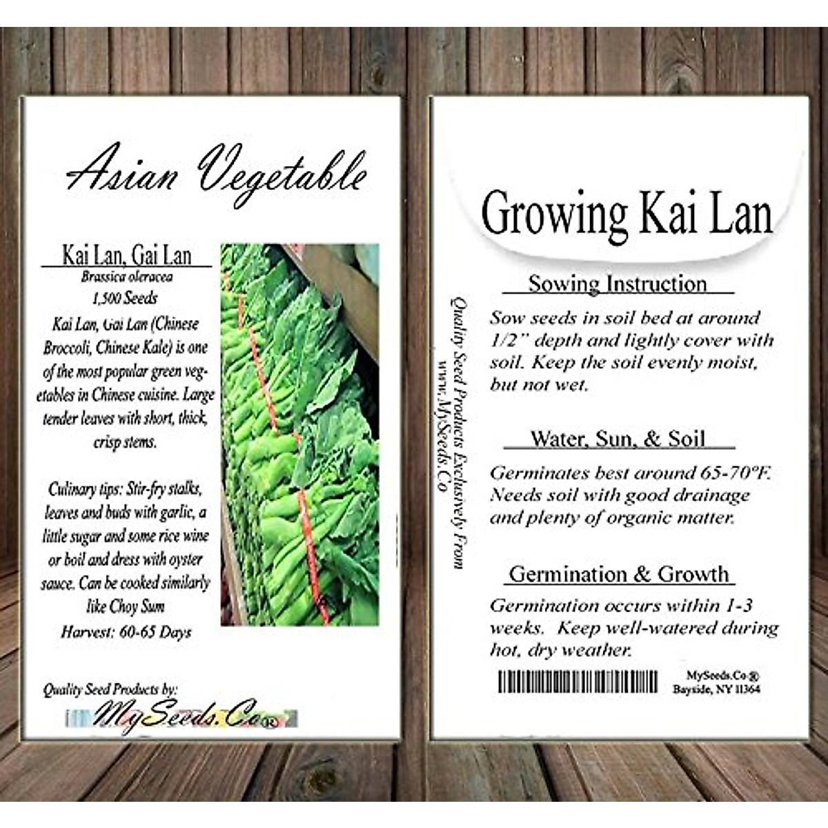 Big Pack - (1,500) Chinese Broccoli, Kailan GAI LAN Seeds - Used in Cantonese Cuisine - Non-GMO Seeds by MySeeds.Co (Big Pack - Kai LAN)