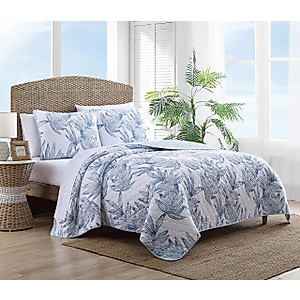 Tommy Bahama - Twin Quilt Set, Reversible Cotton Bedding with Matching Sham, Lightweight Home Decor for All Seasons (Kayo Blue, Twin)