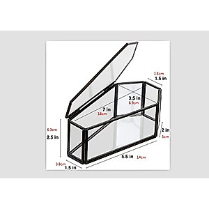 libproqia Small Coffin Glass Jewelry Box Black Trinkets Glass Coffin Terrarium Gothic Halloween Storage Vintage Coffin Box Glass Vampire Keepsake Display Organizer