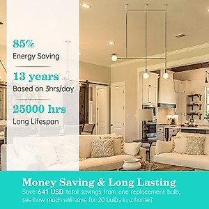 AMDTU G80/G25 Globe LED Light Bulbs 100 Watt Equivalent 1500 Lumens, 3000K Soft White Vintage LED Edison Bulb Non-dimmable 13W, Porcelain Glass E26 Standard Base 100W Retro LED Bulb, 4 Pack