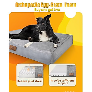 MASTERY MART Anti Anxiety Dog Bed for Medium Dogs Clearance, Dog Crate Bed, Waterproof Dog Bed, chew Proof Orthopedic Pet Bed with Washable Cover and Nonskid Bottom - L Grey