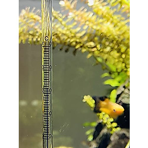 LANDEN Aquarium Thermometer for Rimless Tank, Hang-On Style Fish Tank Thermometer, Clear Scale Background-for 8mm or Thinner Thickness of Tank(Celsius Degree Version, G-8C)