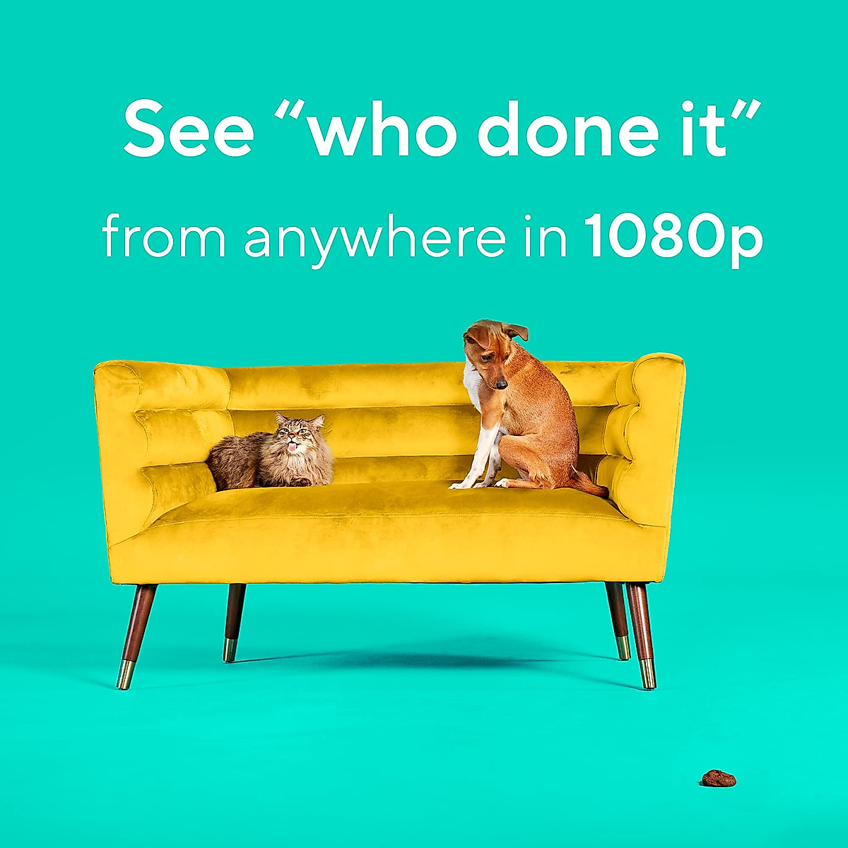 WyzeCam Cam Pan v2 1080p Pan/Tilt/Zoom Indoor and Video Surveillance Sticker Signs(2 Pack)