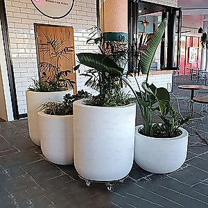 SYKIA Plant Stand with Wheels, Plant Caddy with Wheels, Heavy Duty Pot Rolling Base 3.0mm Thick Aluminum Alloy, Holds 12" and 450 lbs (Round Black)