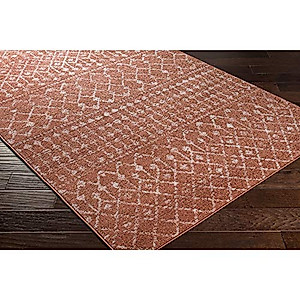 Artistic Weavers Elsie Global Bohemian Area Rug, 5 ft (3 in) x 7 ft (3 in), Burnt Orange