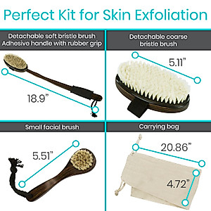 Vive Dry Brush Set for Lymphatic Drainage (3 Pieces) - Brushing Scrubber for Exfoliating, Body Cellulite and Skin Massage - 100% Natural Boar Hair Bristles, 14” Long Dark Wooden Handle w/Storage Bag
