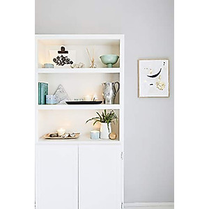 Illume Fresh Sea Salt Mojave Glass Candle, Small