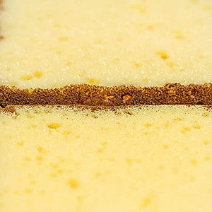 WEEILYAM, 2-Count Fun Toast Dish Washing Compressed Cellulose Sponge for Kitchen Cleaning Supplies