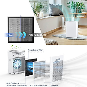 G3 H13 HEPA Filter Replacement Compatible with AMEIFU Air Purifier Replacement Filter for AMEIFU Air Purifier G3 Sferf-30 FXAP2W and Vewior Air Purifier Filter Replacement A3, Tailulu HQZZ-260, 1-Pack